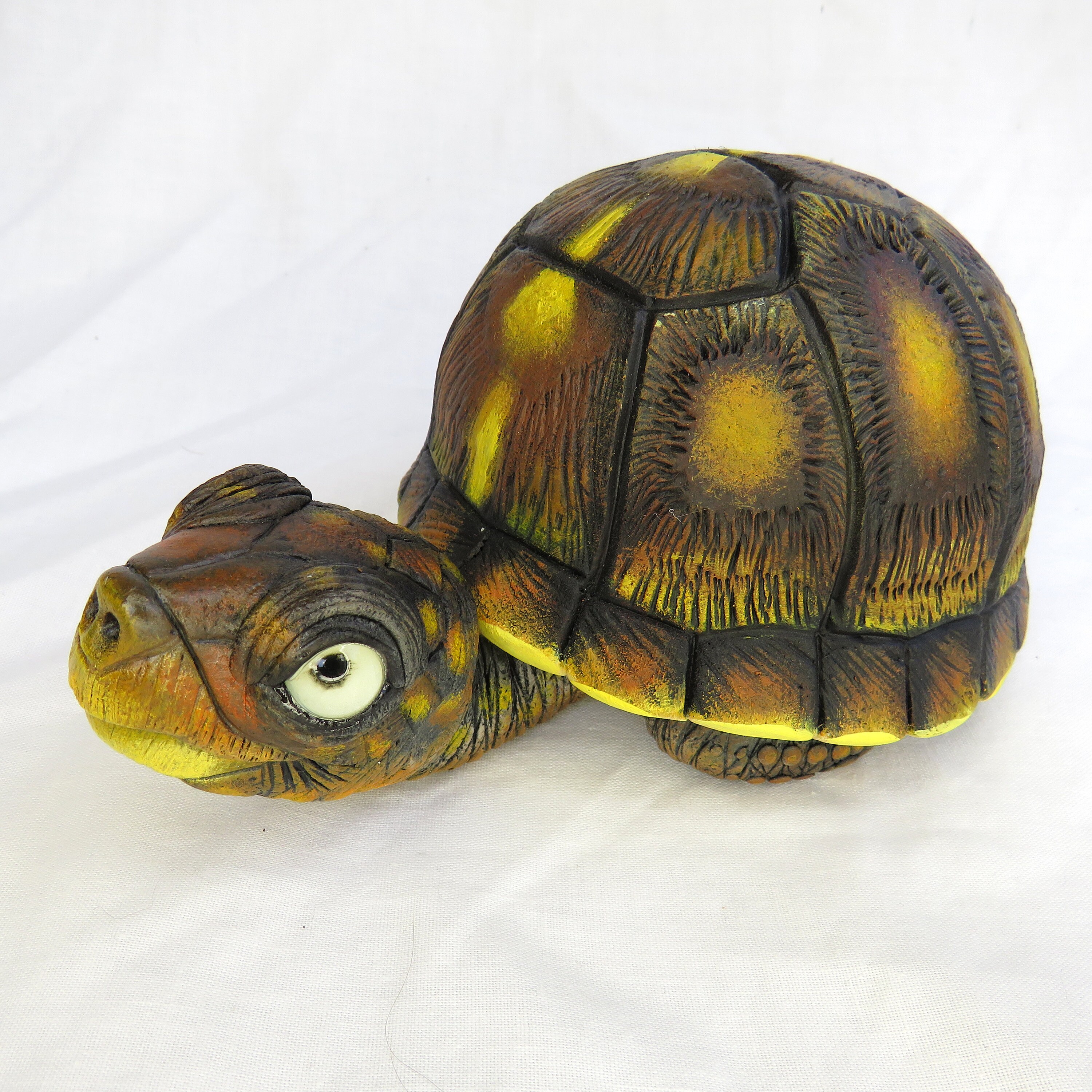 Brucie the Baby Eastern Box Turtle Gourd Art Sculpture - Etsy