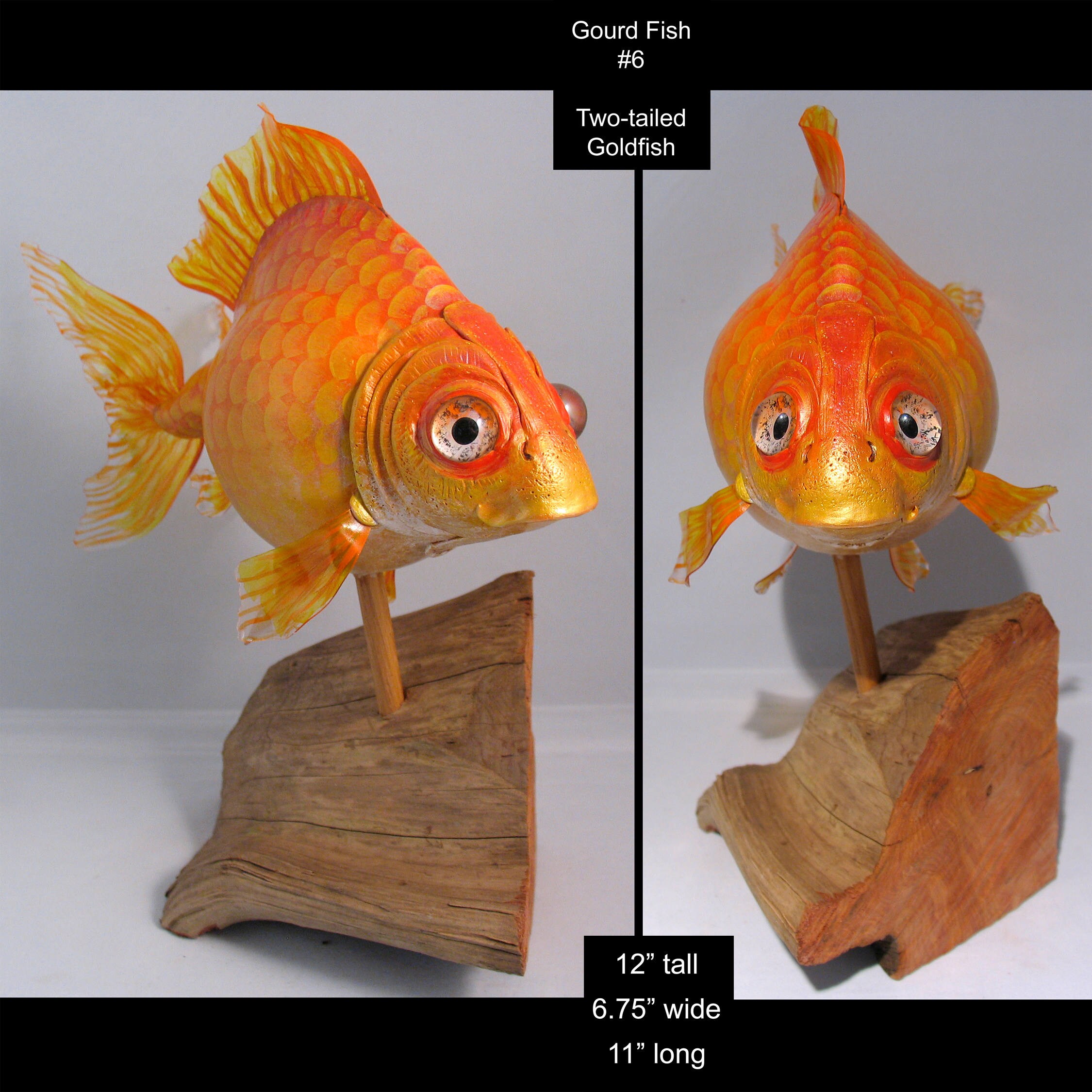 Gourd Fish 6 Great Goldfish - Etsy