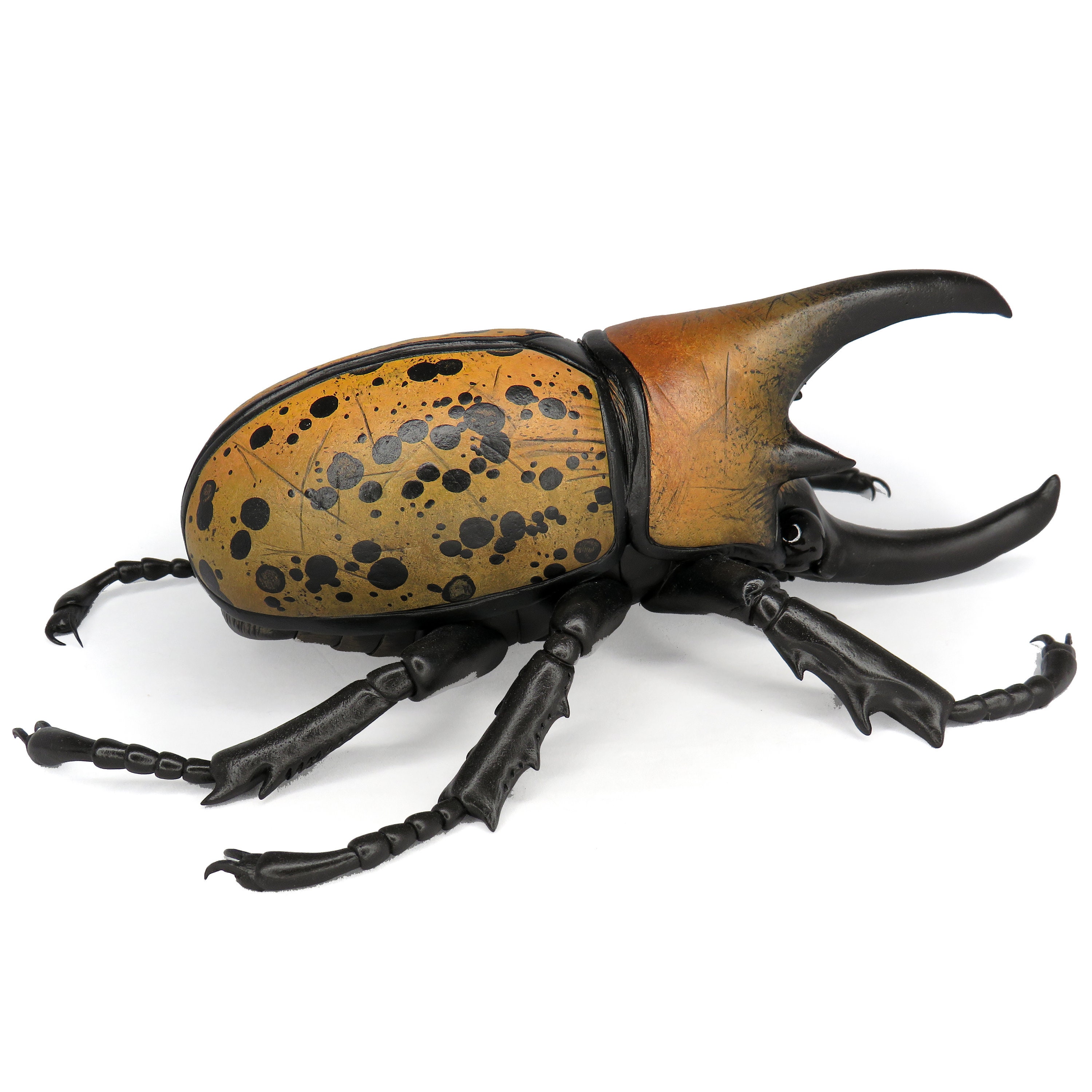 Large Hercules Beetle Gourd Art Sculpture | Etsy