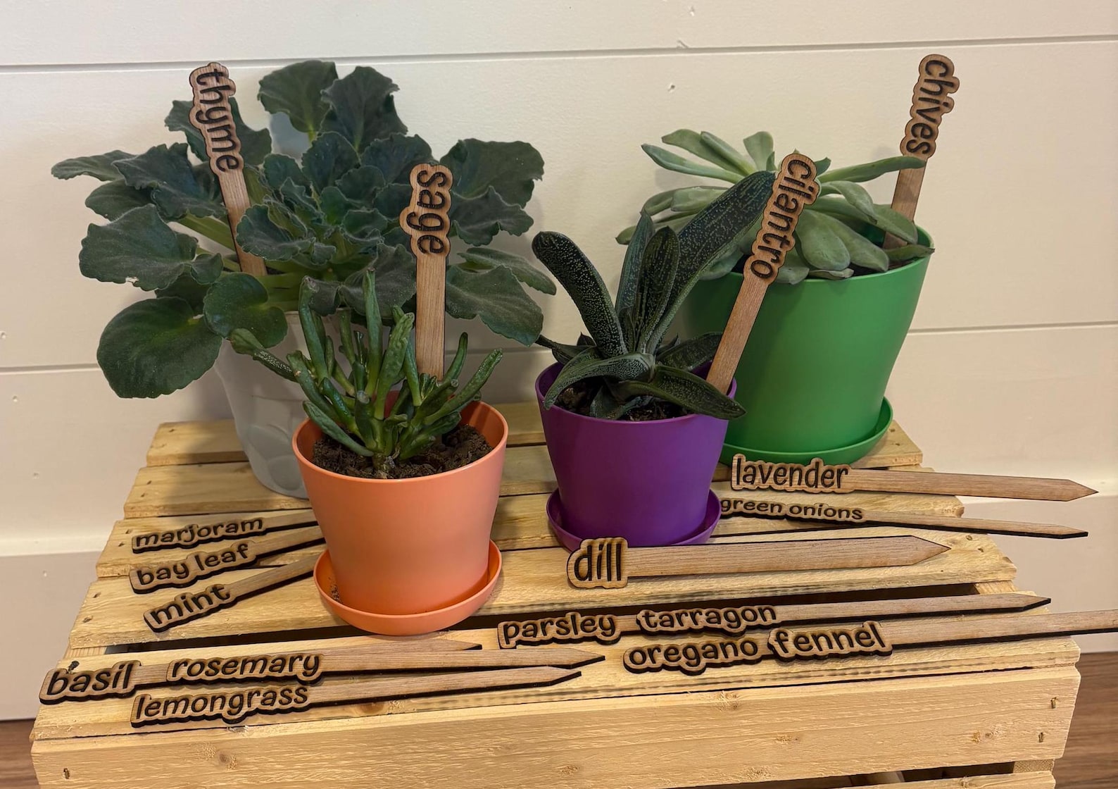 Plant Stake SVG | Herb Plant Stakes | Garden Stakes | Herb Garden ...