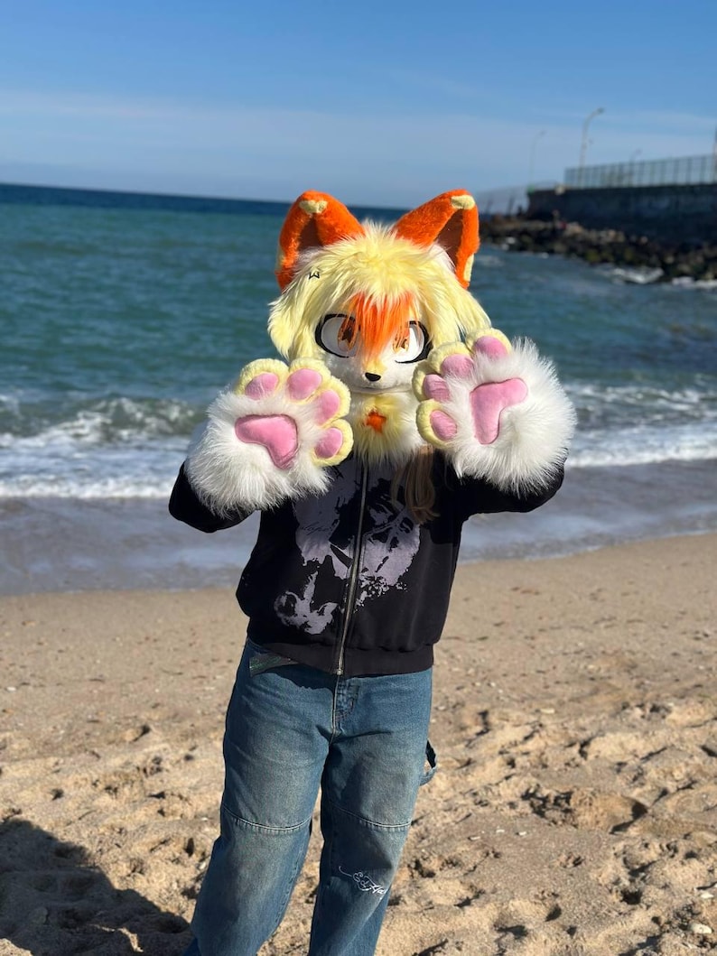 Kemono Fursuit Set With Head, Collar, Tail, and Paws, Cute Orange and ...