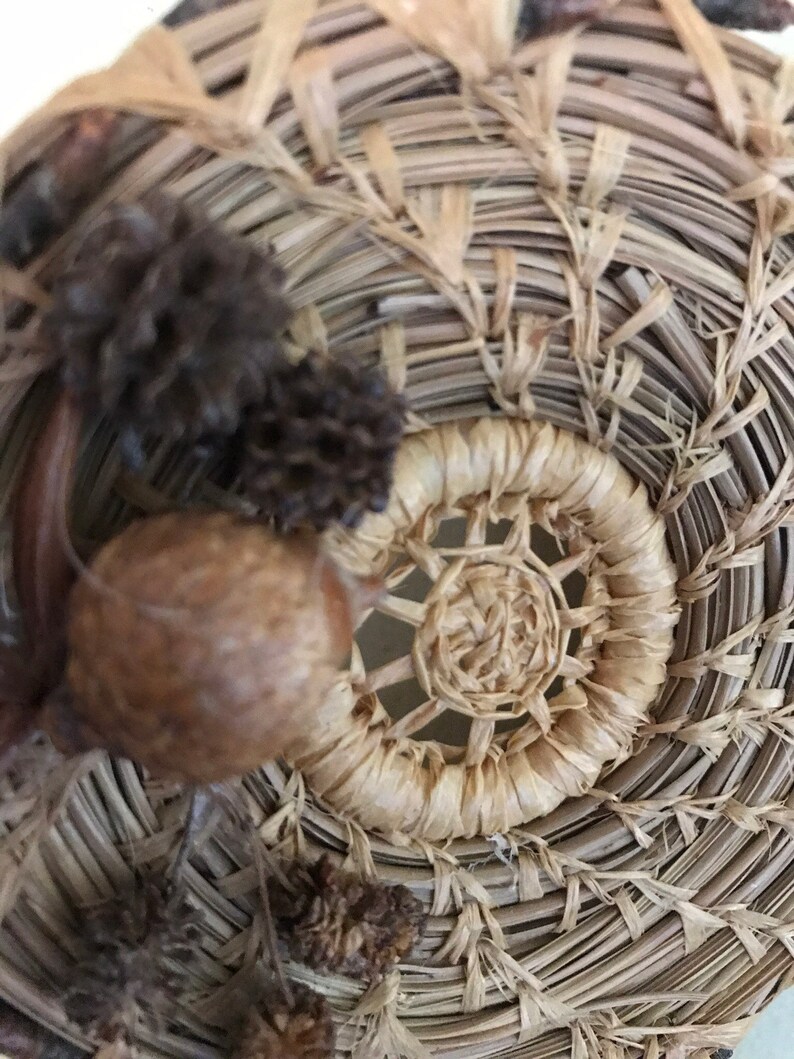 Vintage Native American Hand Coiled Ponderosa Pine Needle - Etsy