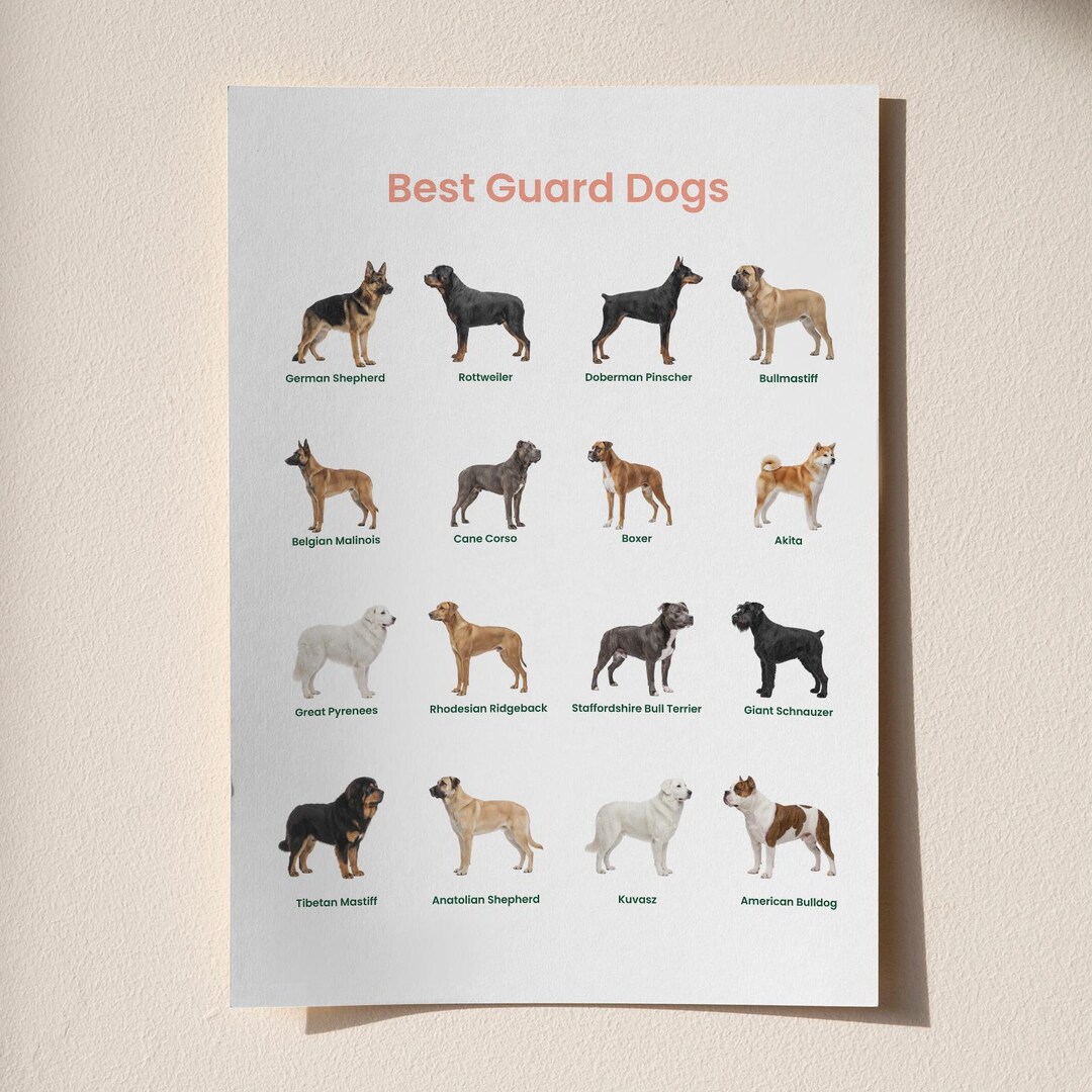 Printable Guard Dog Breeds Chart - Etsy