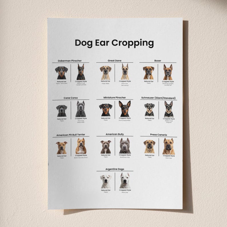 Printable Dog Ear Cropping Chart - Etsy