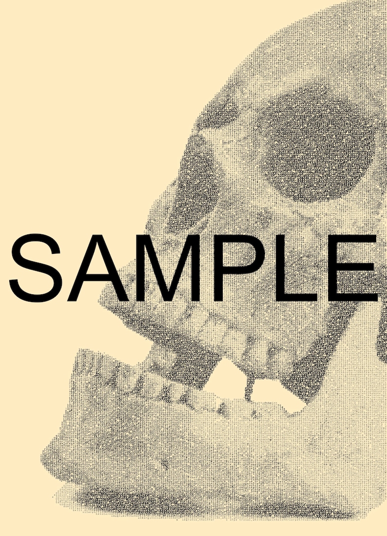 Gray's Anatomy ASCII Series: Skull (2025) - Etsy