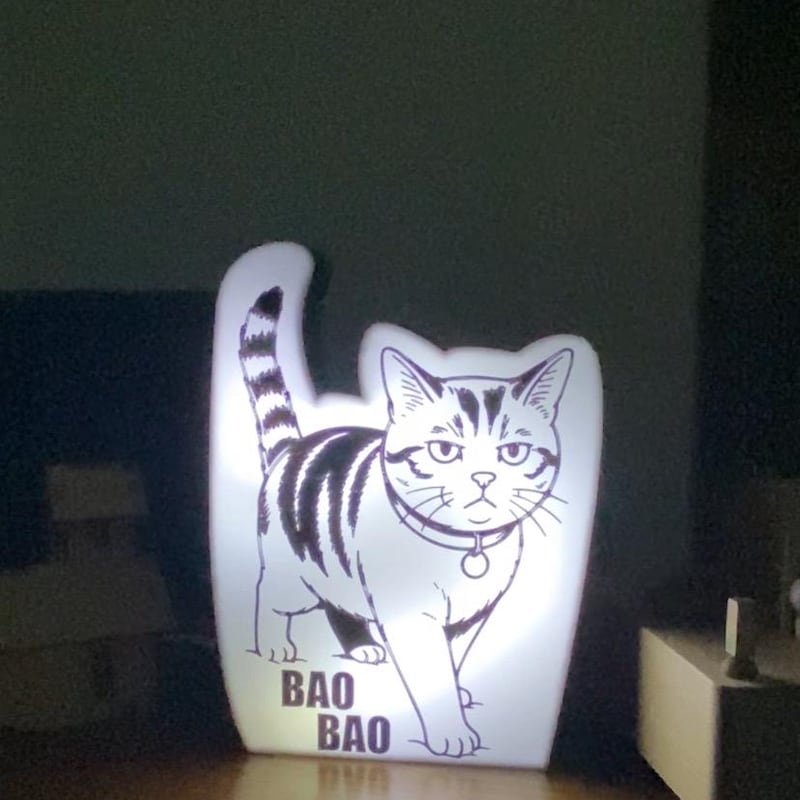 3d White Cat Led Light - Etsy UK