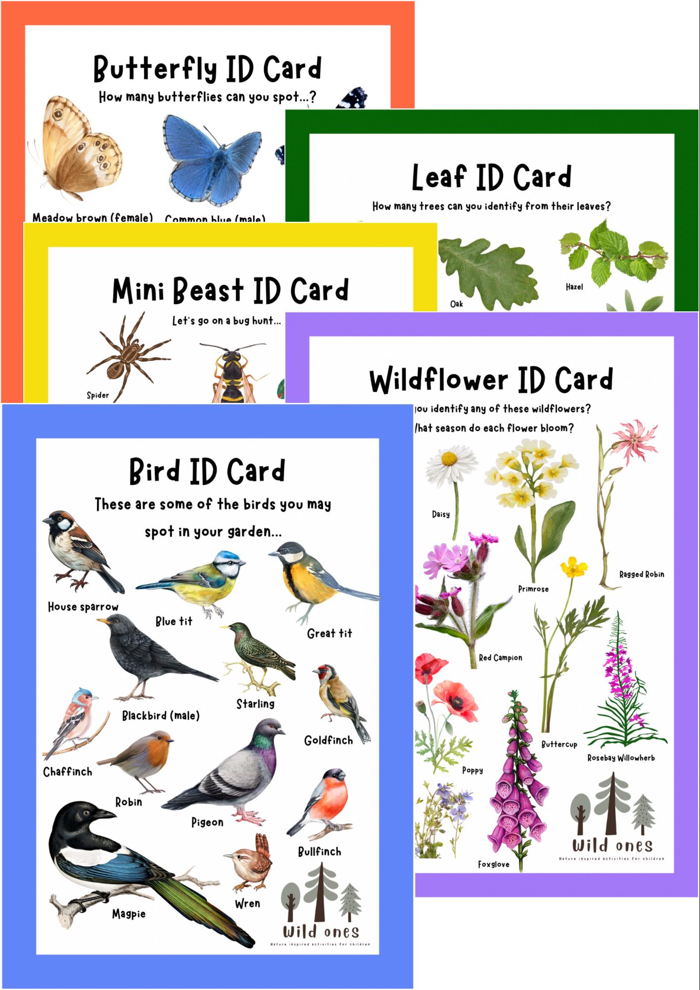 Printable Nature ID Cards for Children Age 3-8 Years - Etsy
