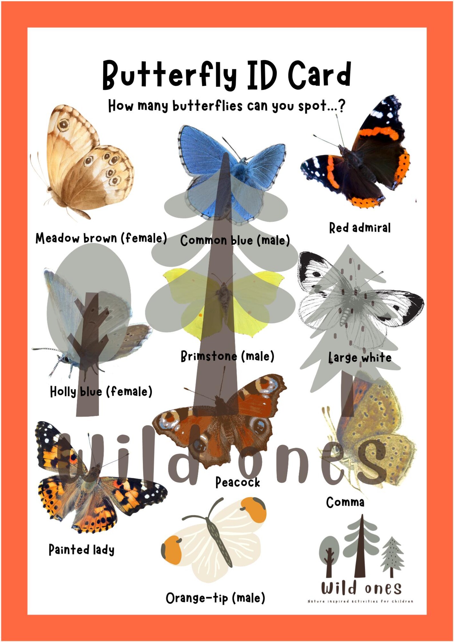 Printable Nature ID Cards for Children Age 3-8 Years - Etsy