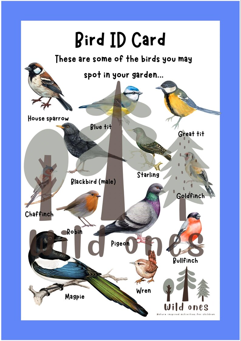 Printable Nature ID Cards for Children Age 3-8 Years - Etsy