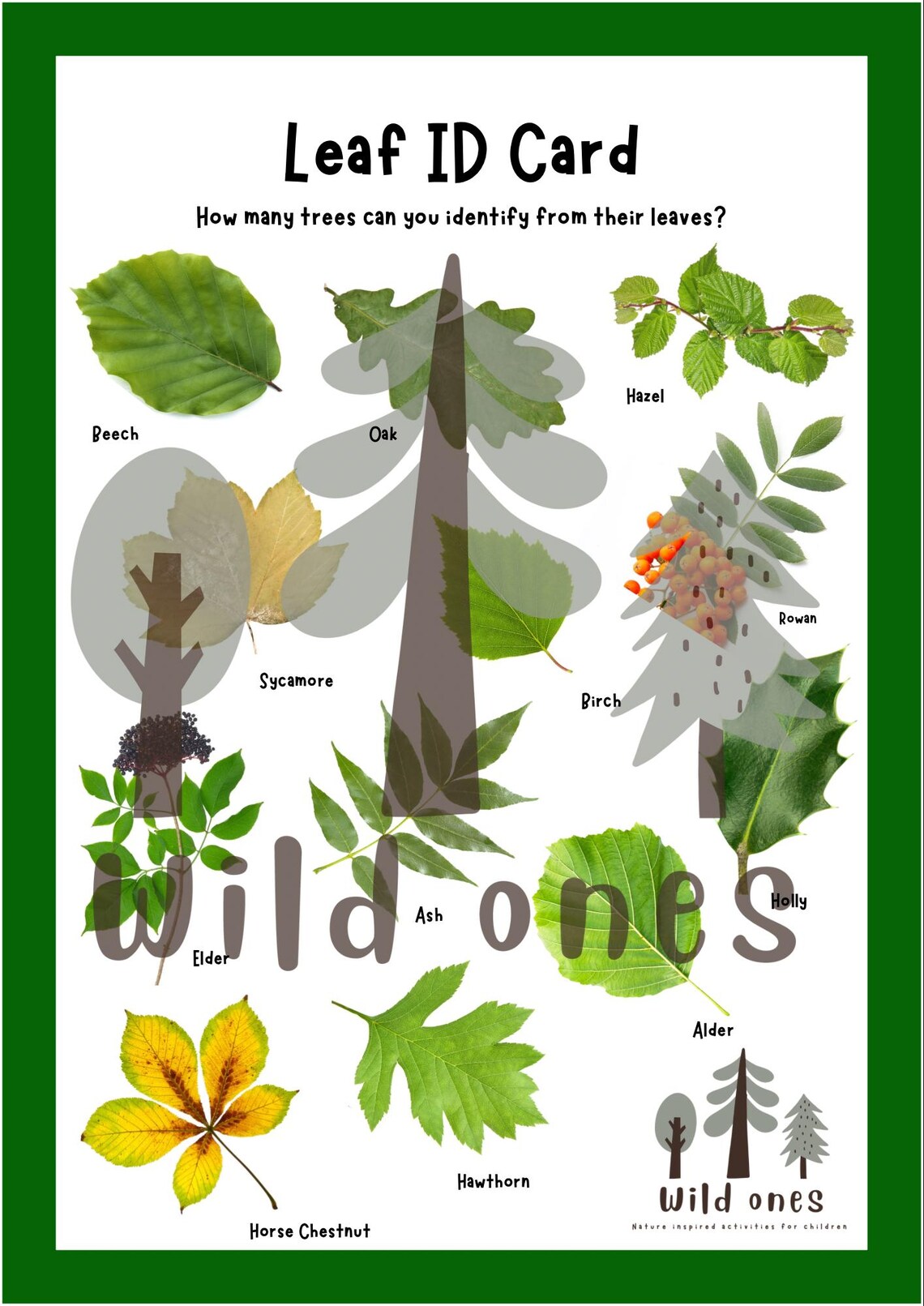 Printable Nature ID Cards for Children Age 3-8 Years - Etsy