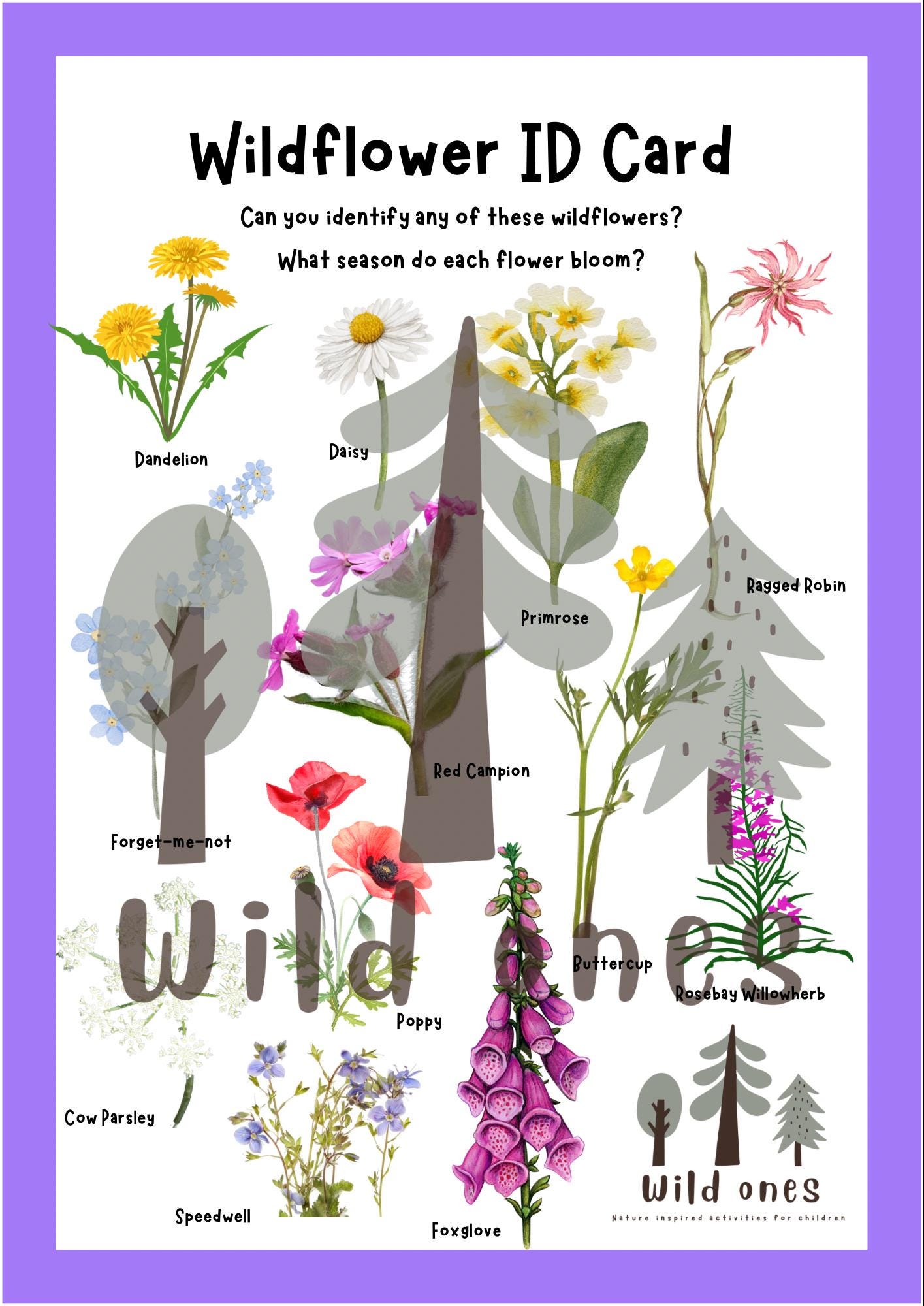 Printable Nature ID Cards for Children Age 3-8 Years - Etsy