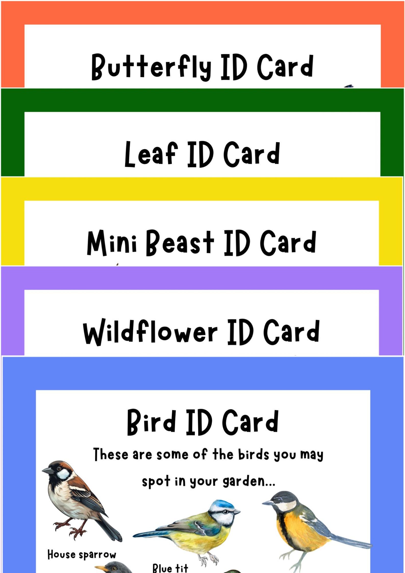 Printable Nature ID Cards for Children Age 3-8 Years - Etsy