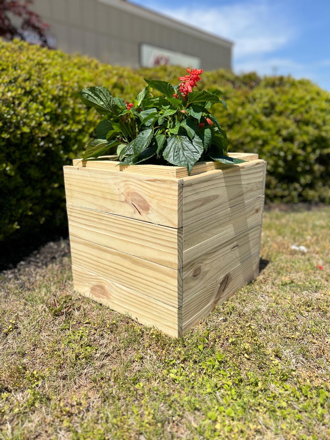 Pine Planter Box 1x1x1 - Etsy