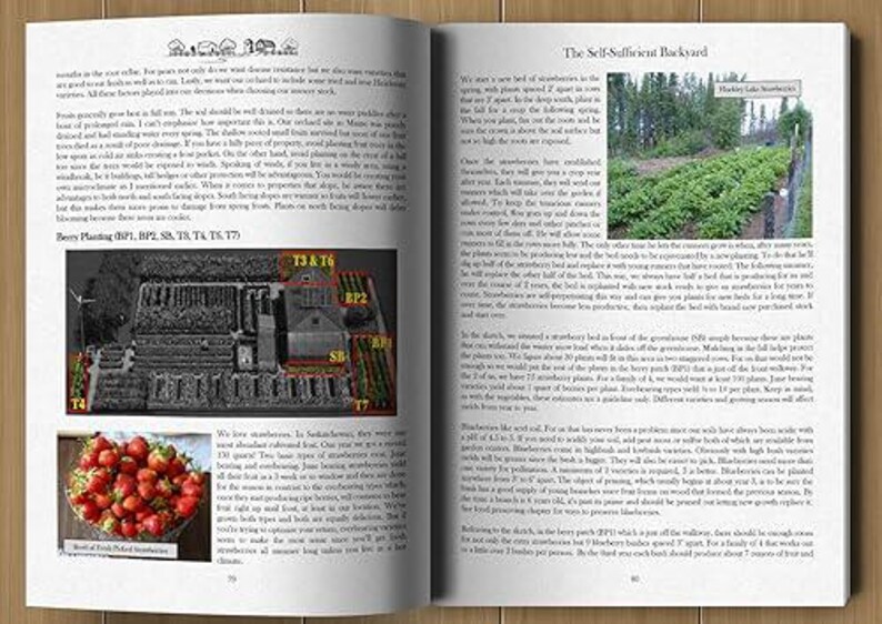 The Self-sufficient Backyard: Off-grid Living Guide by Ron Melchiore ...