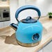 Vintage-style Blue Whistling Kettle With Thermometer – Retro Stainless ...