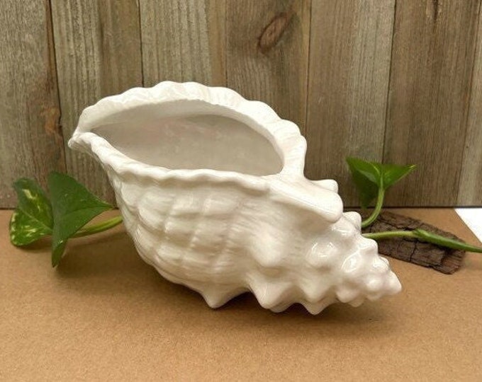 Conch Shell Planter - Summer Beach House Decor - Etsy