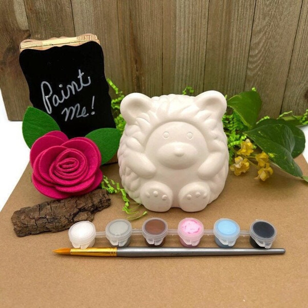 Hedgehog Craft Kit With Acrylic Paint Set, Ceramic Coin Bank Blank ...