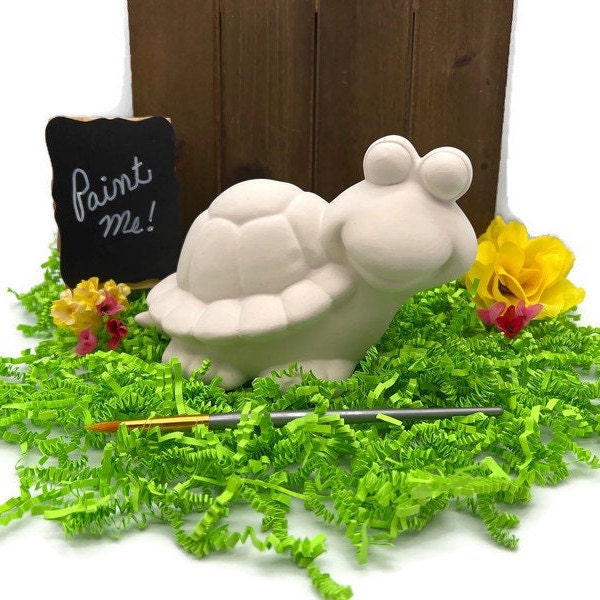 Turtle Coin Bank, DIY Tortoise Money Holder Craft Project, Ceramic ...