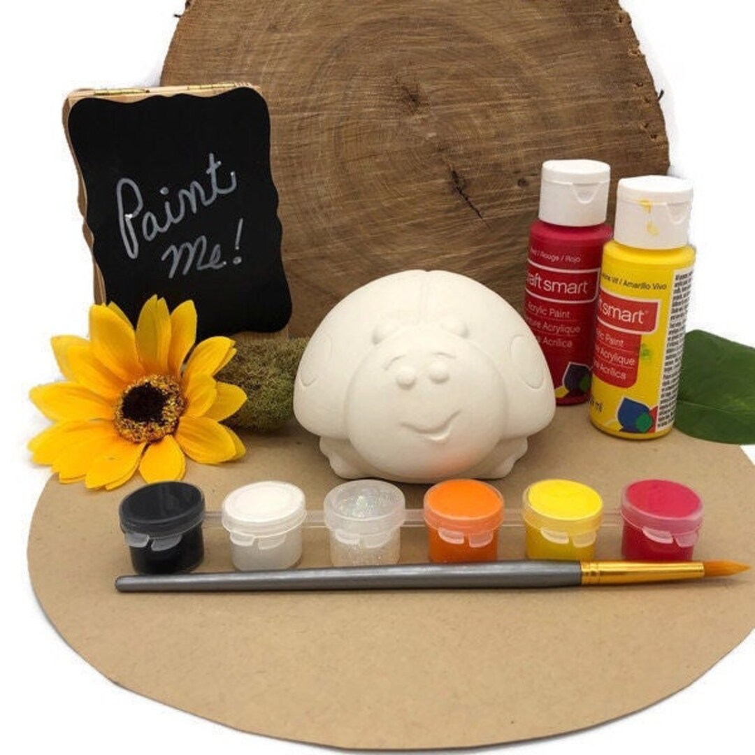 Ladybug Craft Kit With Acrylic Paint Set, DIY Arts and Crafts Project ...