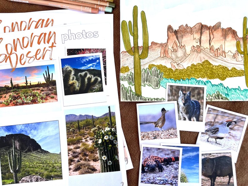 An Explorer's Guide to Life in the Sonoran Desert: Unit Study for ...
