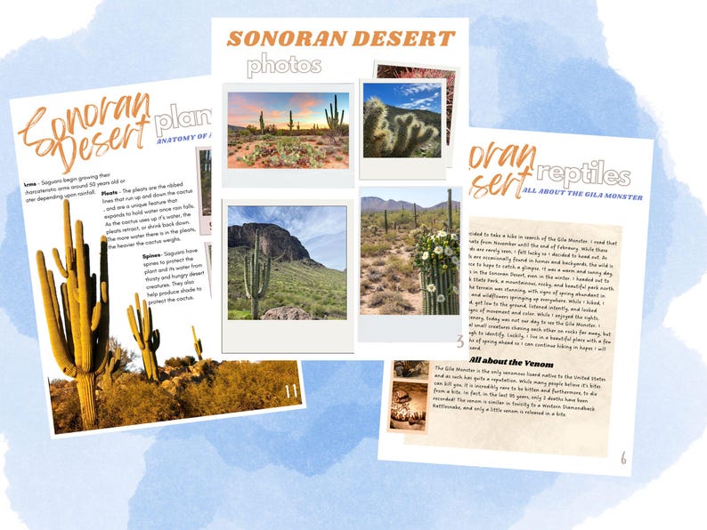 An Explorer's Guide to Life in the Sonoran Desert: Unit Study for ...