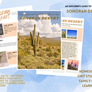 An Explorer's Guide to Life in the Sonoran Desert: Unit Study for ...