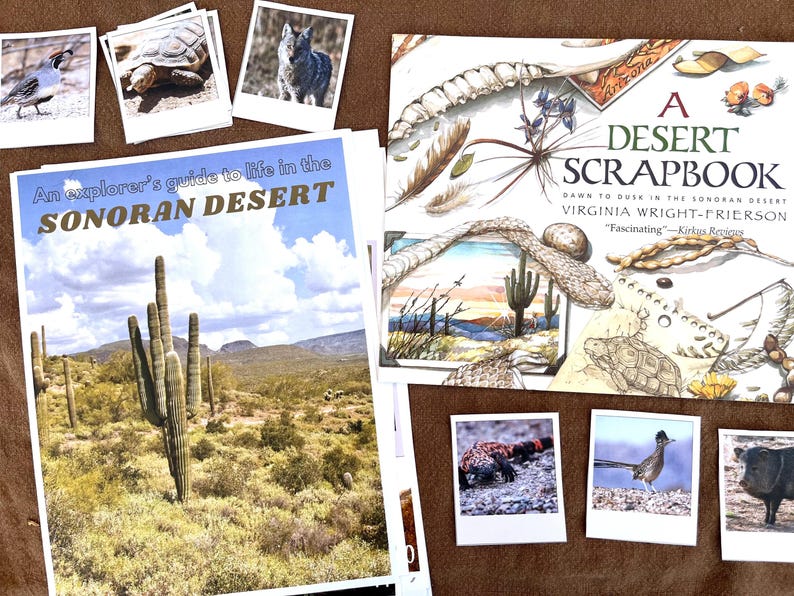 An Explorer's Guide to Life in the Sonoran Desert: Unit Study for ...
