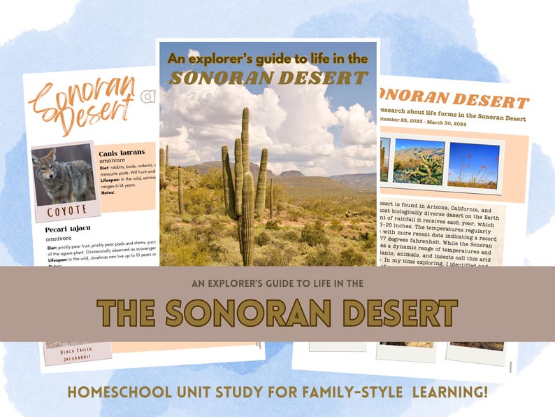 An Explorer's Guide to Life in the Sonoran Desert: Unit Study for ...