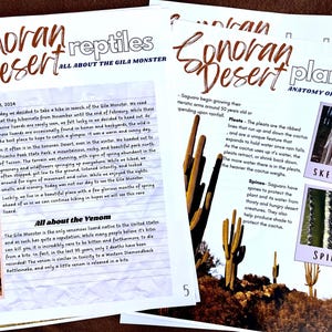 An Explorer's Guide to Life in the Sonoran Desert: Unit Study for ...