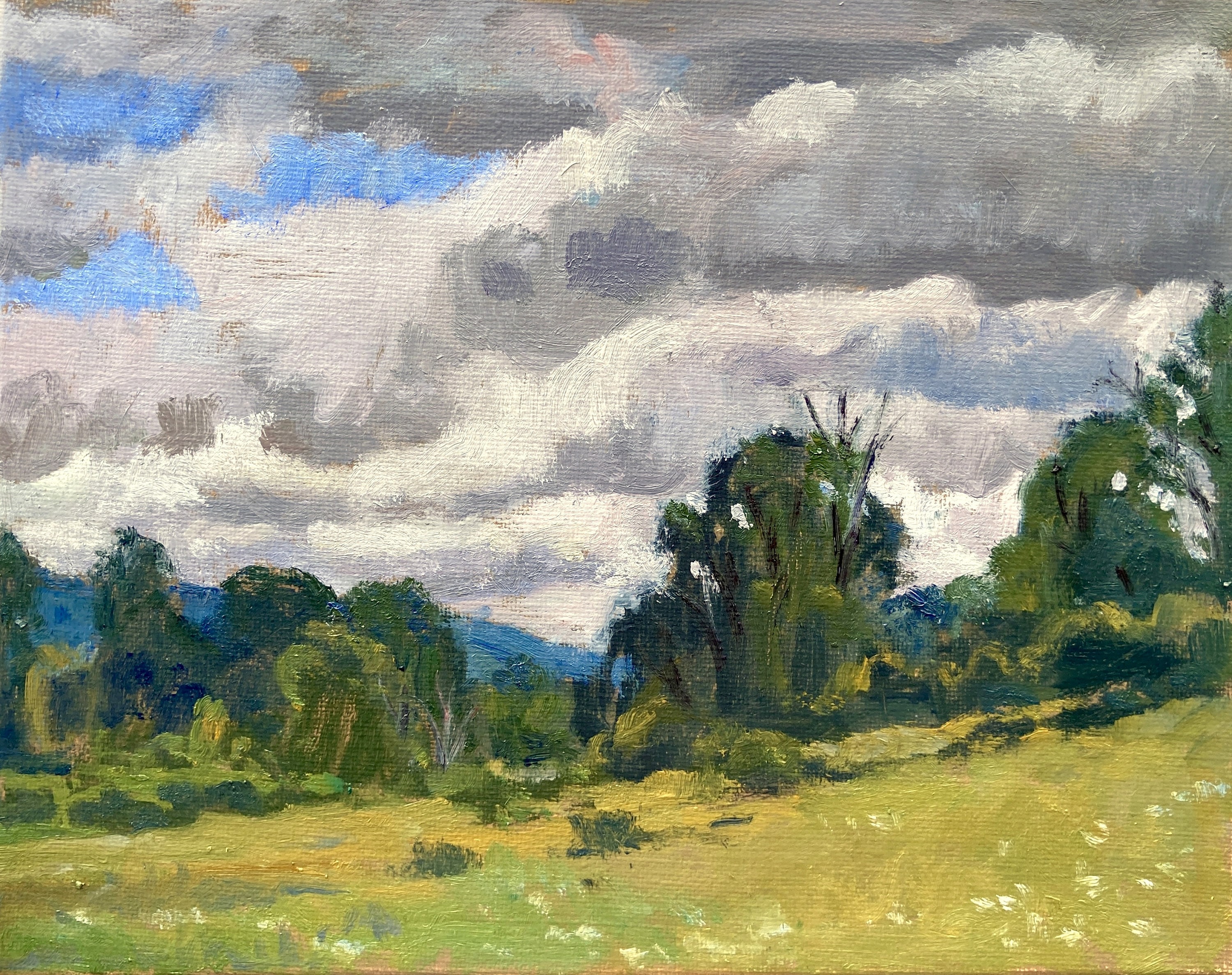 Original Landscape Painting Summer Clouds/berkshires 8x10 Oil on Linen ...