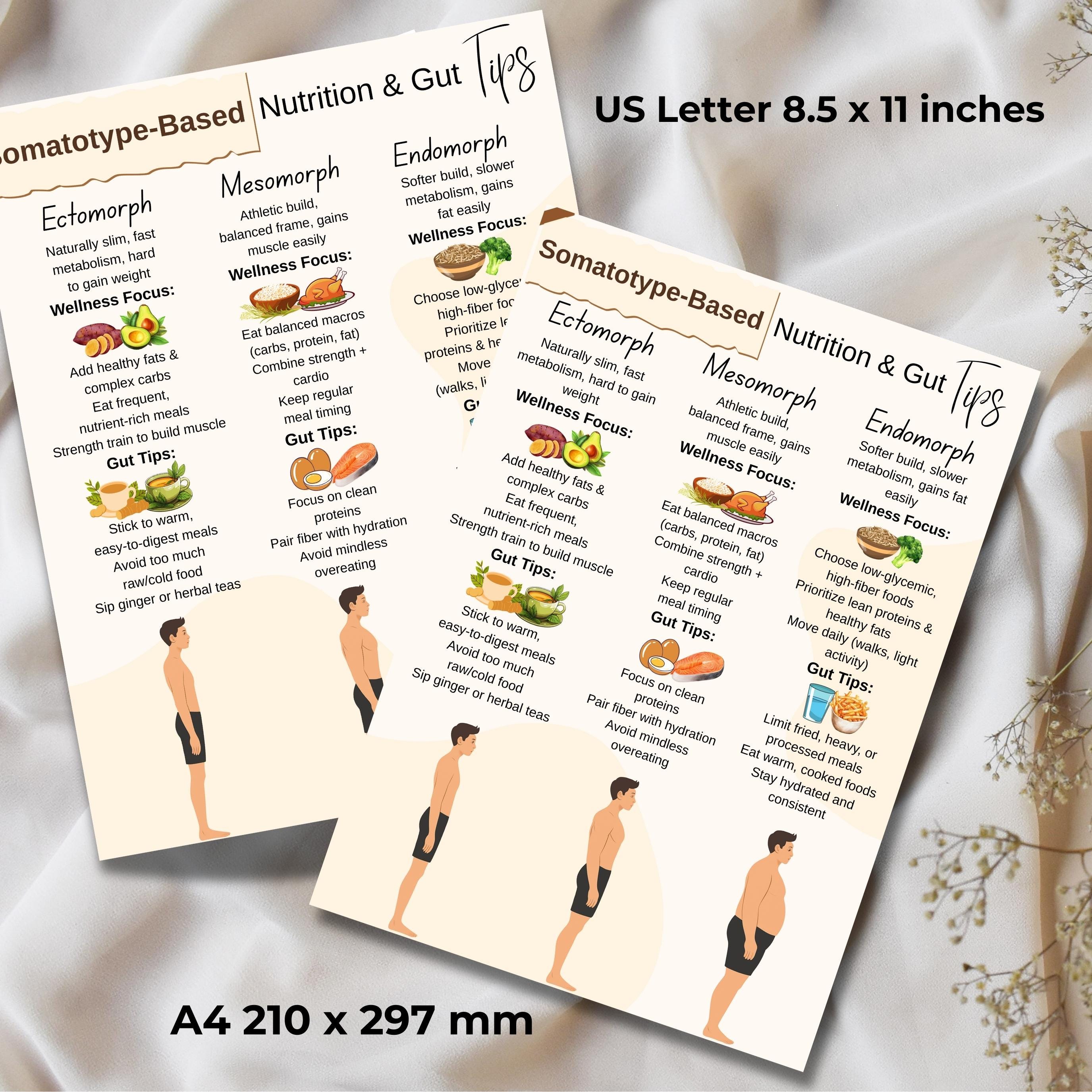 Body Type Food Chart, Ectomorph Mesomorph Endomorph Food Chart ...