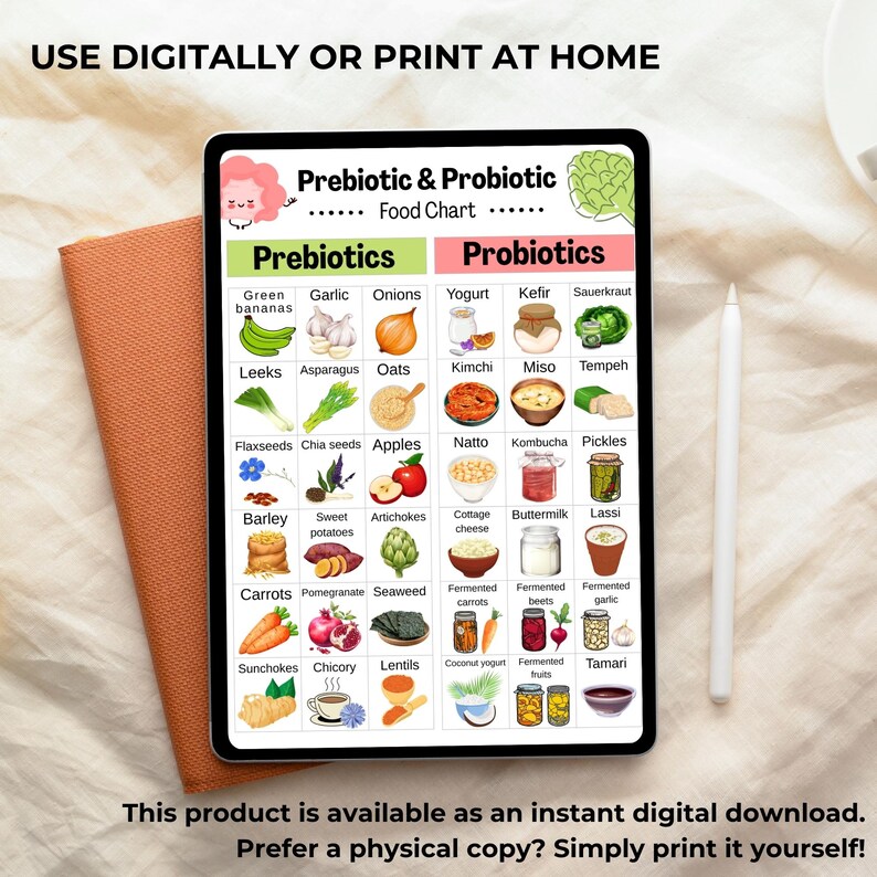Prebiotic and Probiotic Food Chart, Gut Microbiome Food List, Fermented ...