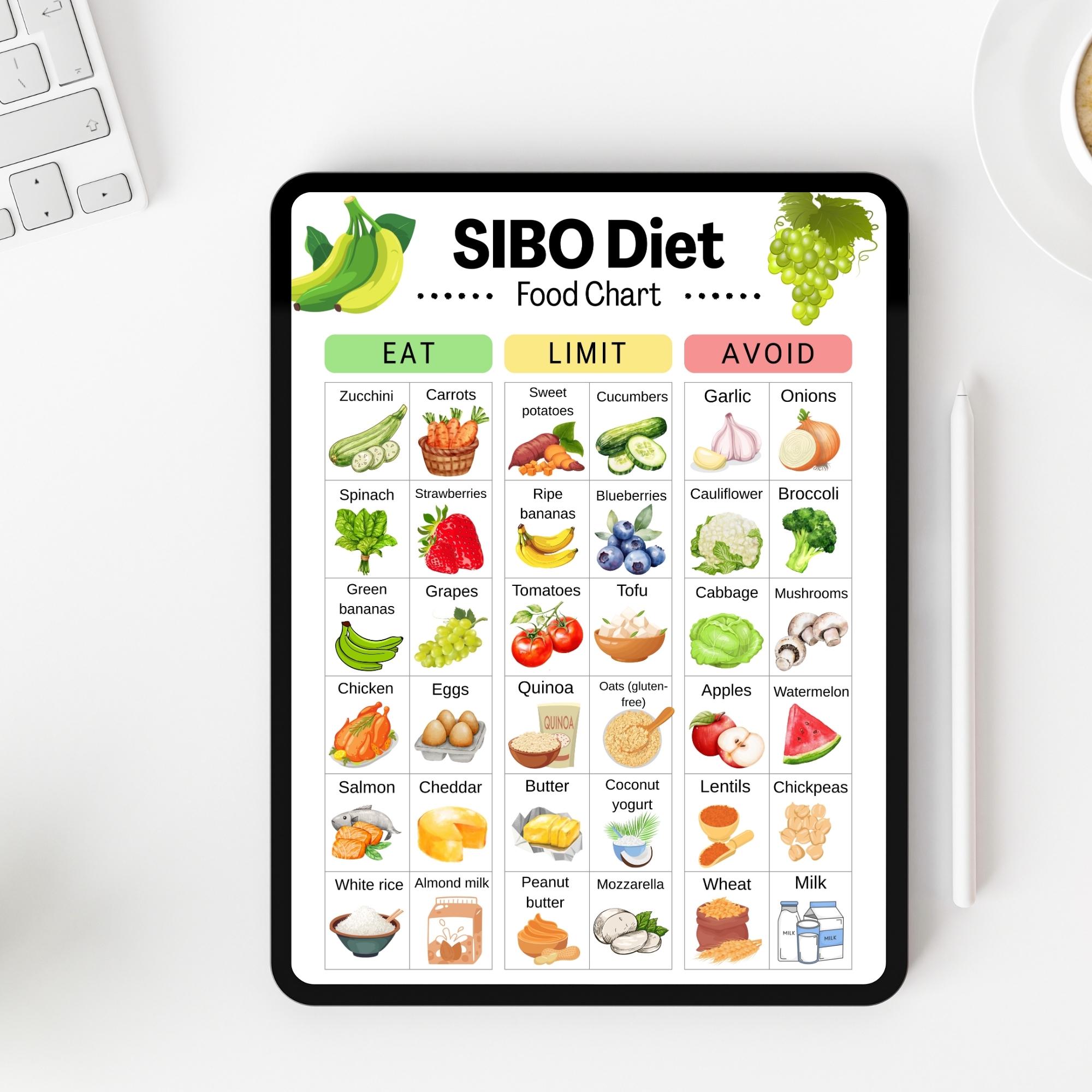SIBO Diet Food Chart, Low FODMAP Food List, Ibs Grocery List, Bloating Diet Food Chart, Sibo ...