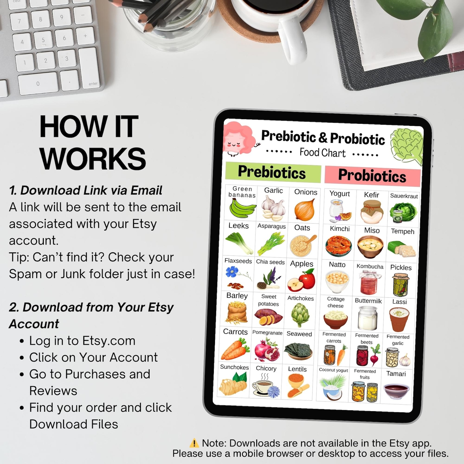 Prebiotic and Probiotic Food Chart, Gut Microbiome Food List, Fermented Foods Chart, Prebiotic ...