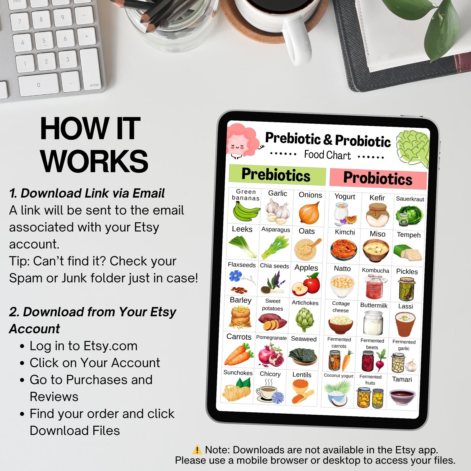 Prebiotic and Probiotic Food Chart, Gut Microbiome Food List, Fermented Foods Chart, Prebiotic ...