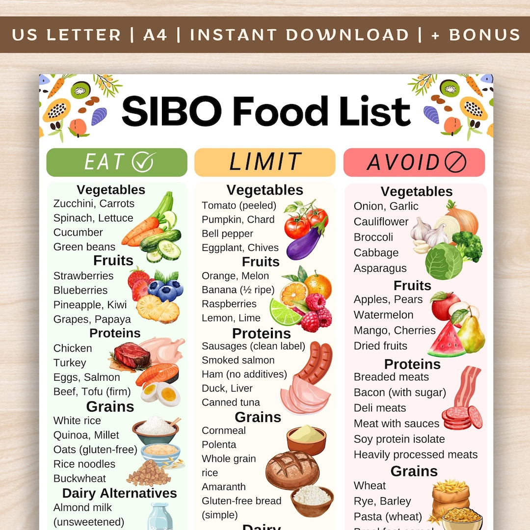 SIBO Food List, Low FODMAP Grocery List, Sibo Diet Grocery List, Sibo Food Chart Printable PDF ...