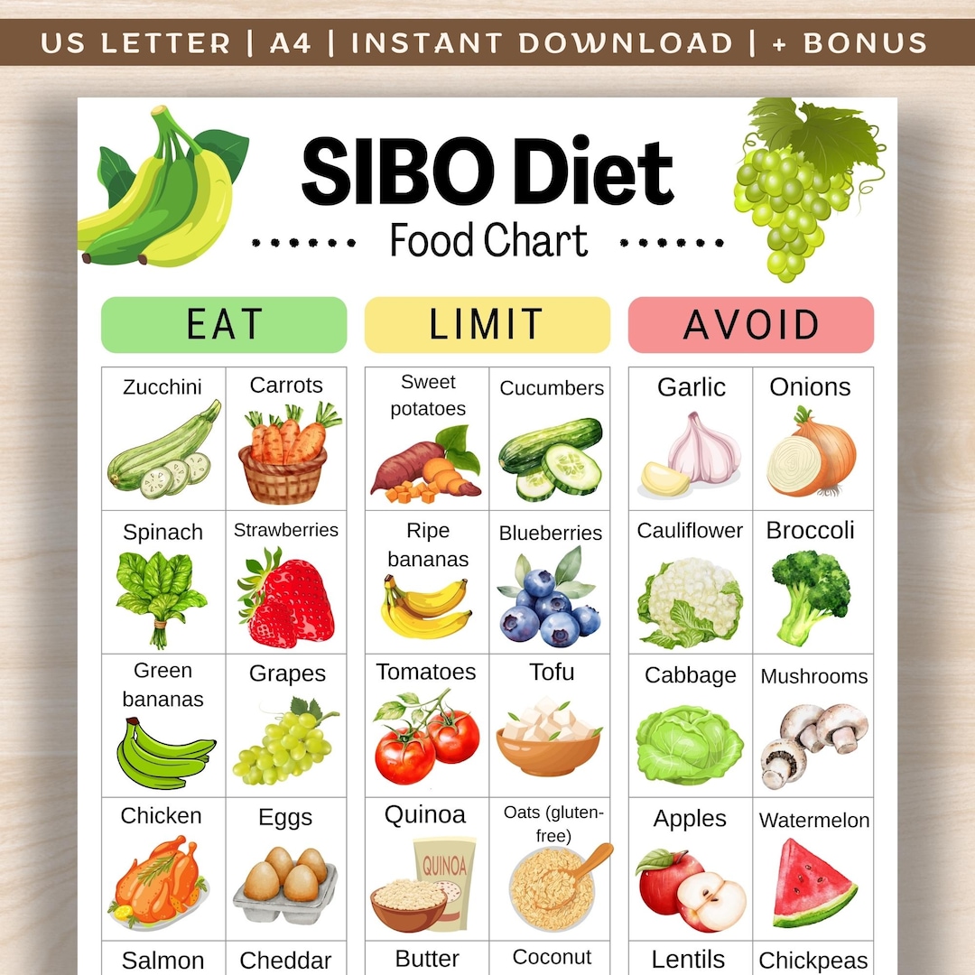SIBO Diet Food Chart, Low FODMAP Food List, Ibs Grocery List, Bloating Diet Food Chart, Sibo ...