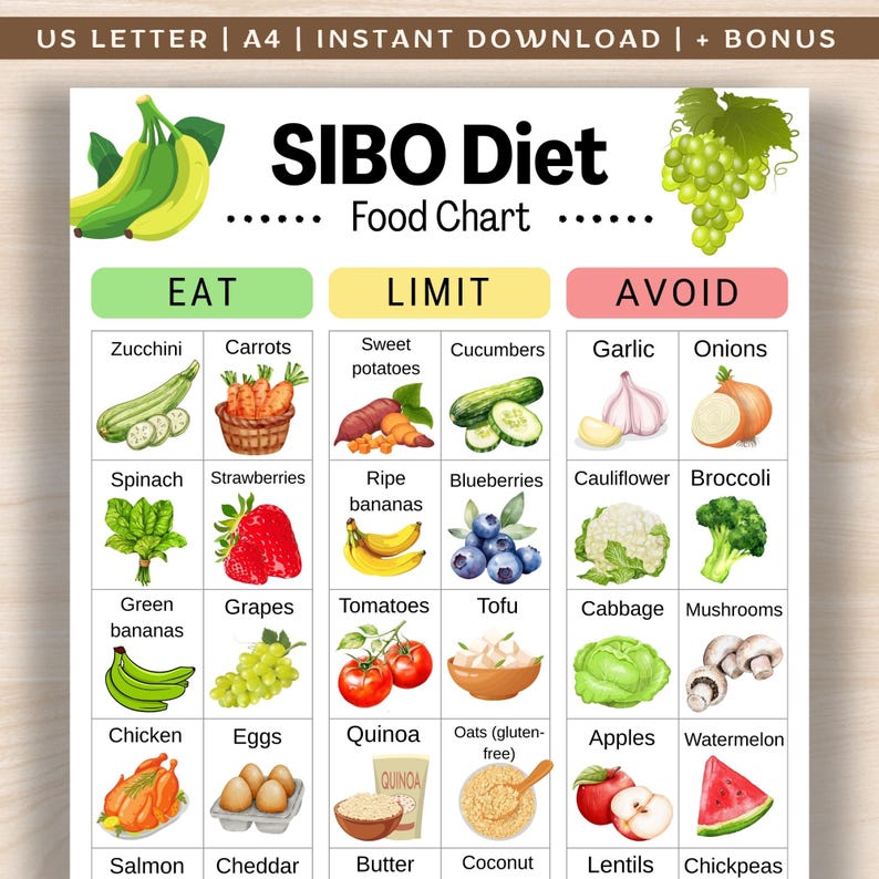 SIBO Diet Food Chart, Low FODMAP Food List, Ibs Grocery List, Bloating Diet Food Chart, Sibo ...