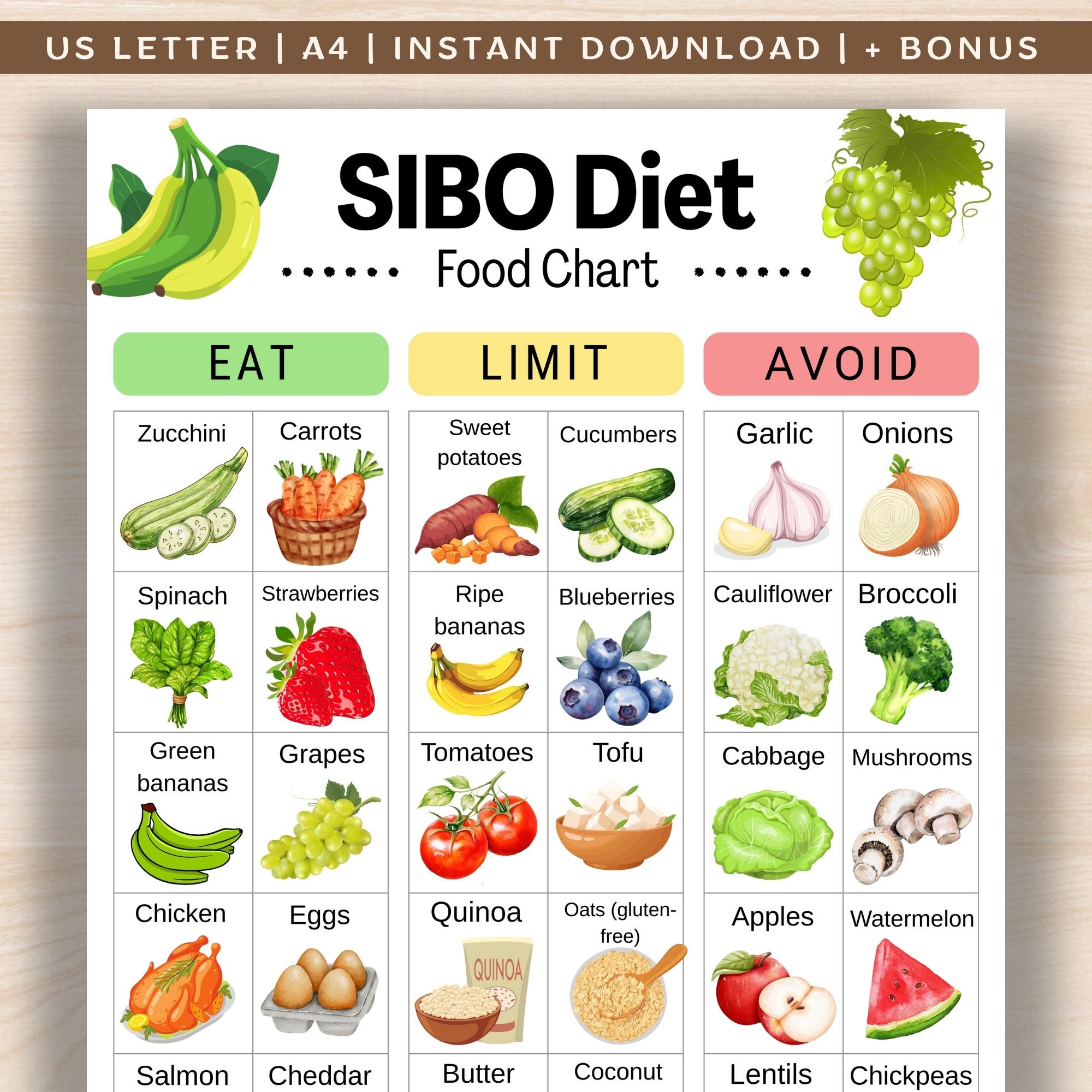 SIBO Diet Food Chart, Low FODMAP Food List, Ibs Grocery List, Bloating Diet Food Chart, Sibo ...