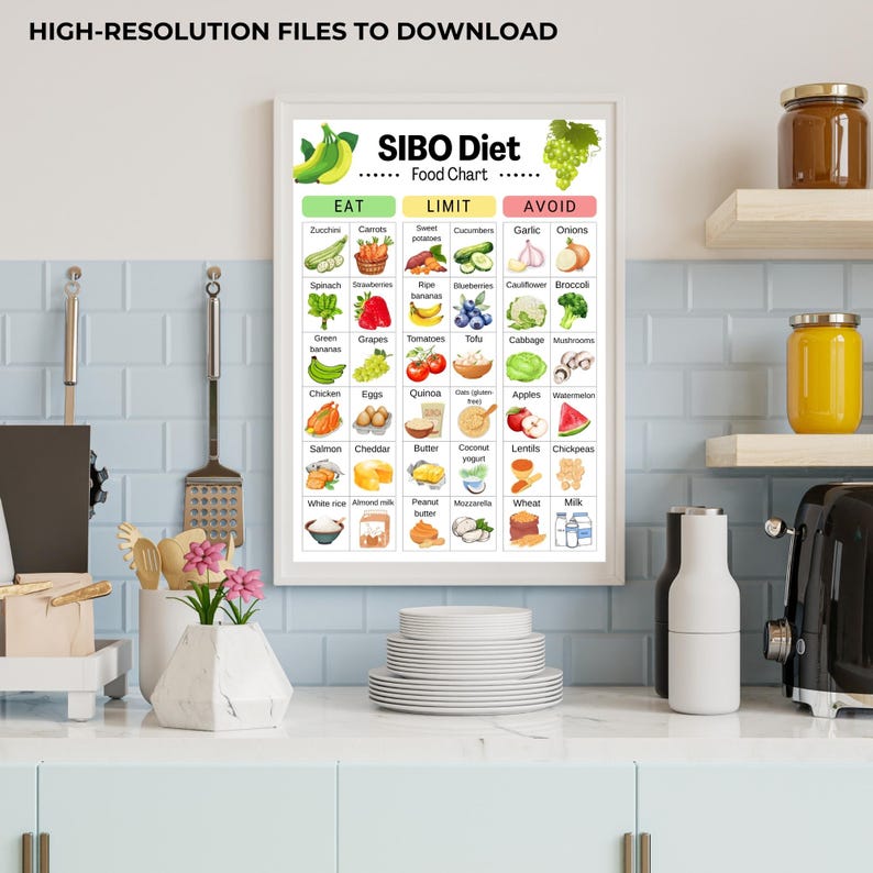 SIBO Diet Food Chart, Low FODMAP Food List, Ibs Grocery List, Bloating ...
