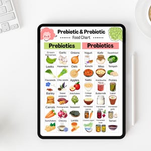 Prebiotic and Probiotic Food Chart, Gut Microbiome Food List, Fermented Foods Chart, Prebiotic ...