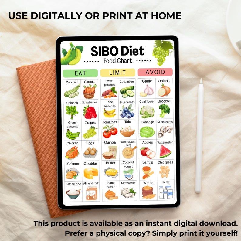 SIBO Diet Food Chart, Low FODMAP Food List, Ibs Grocery List, Bloating ...