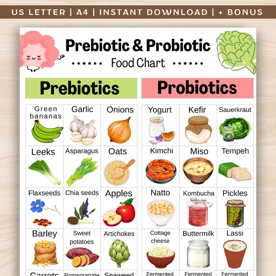 Prebiotic and Probiotic Food Chart, Gut Microbiome Food List, Fermented Foods Chart, Prebiotic ...