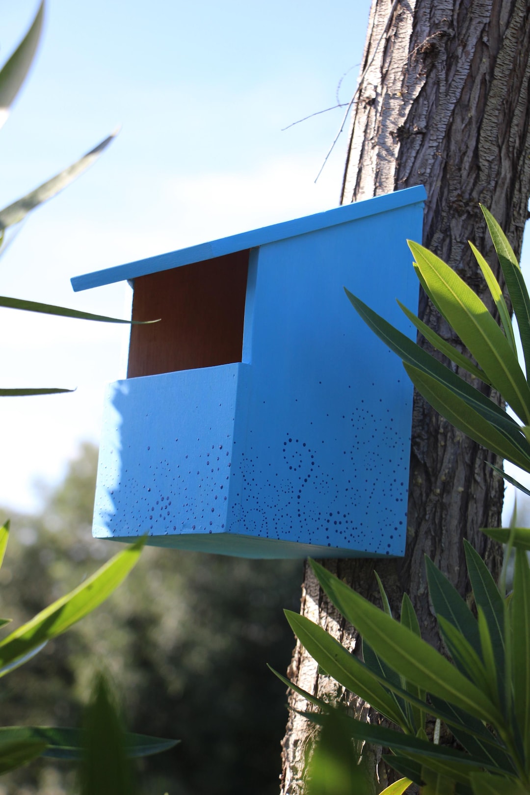 Nichoir Rouge-Gorge en Bois – Abri Oiseaux Bleu Fait Main – Protection ...