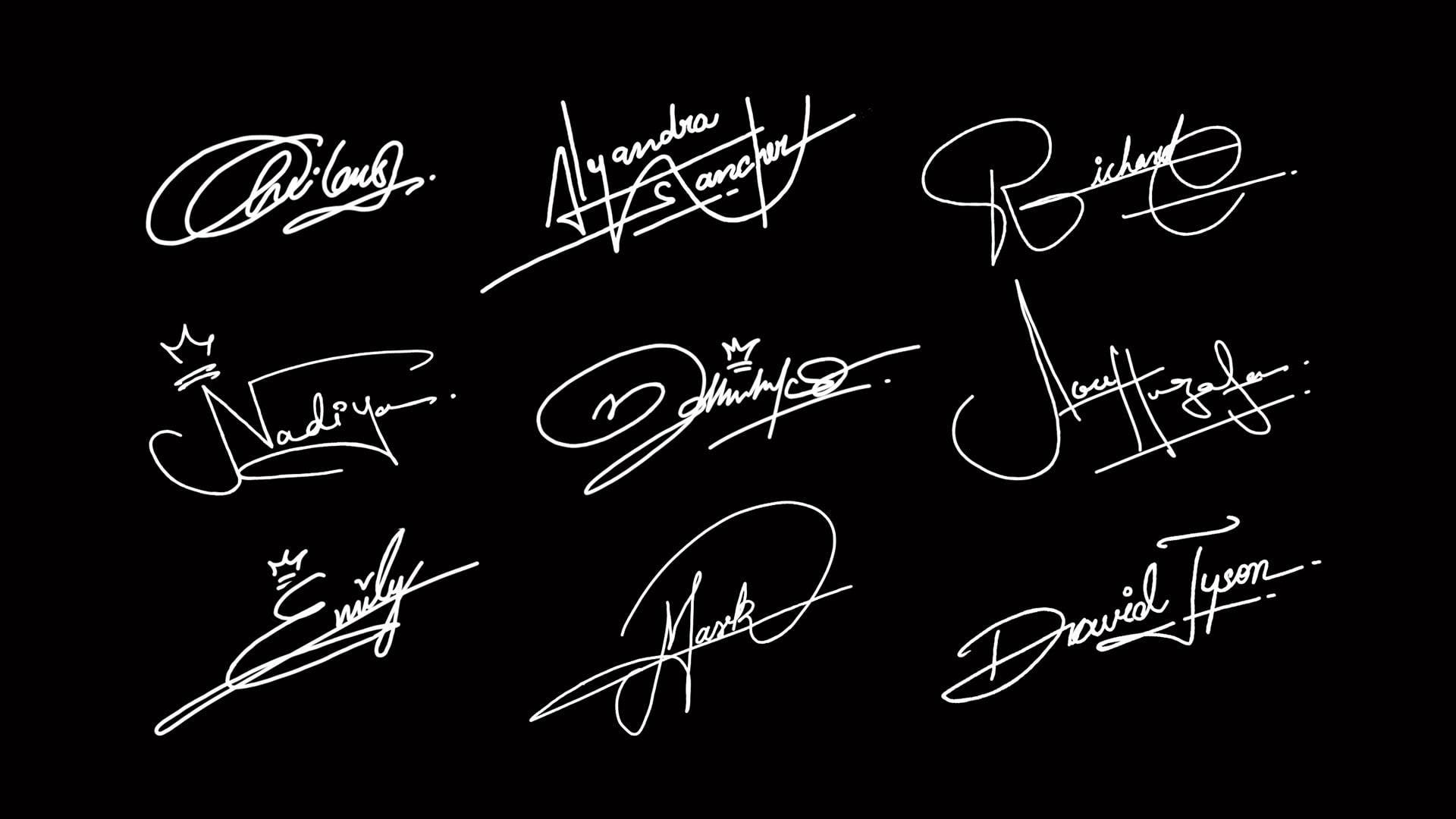 Custom Handwritten Signature Logo Design: Personalized Calligraphy - Etsy