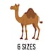 Cute Camel Embroidery Design - Egypt Embroidery Design - Dessert Camel ...