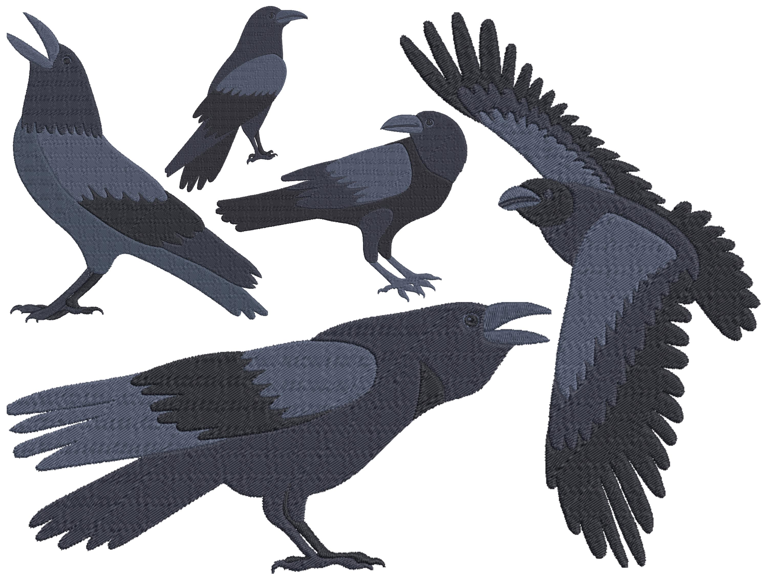Raven Bundle Embroidery Design - Crow Embroidery Design - Flying Raven ...