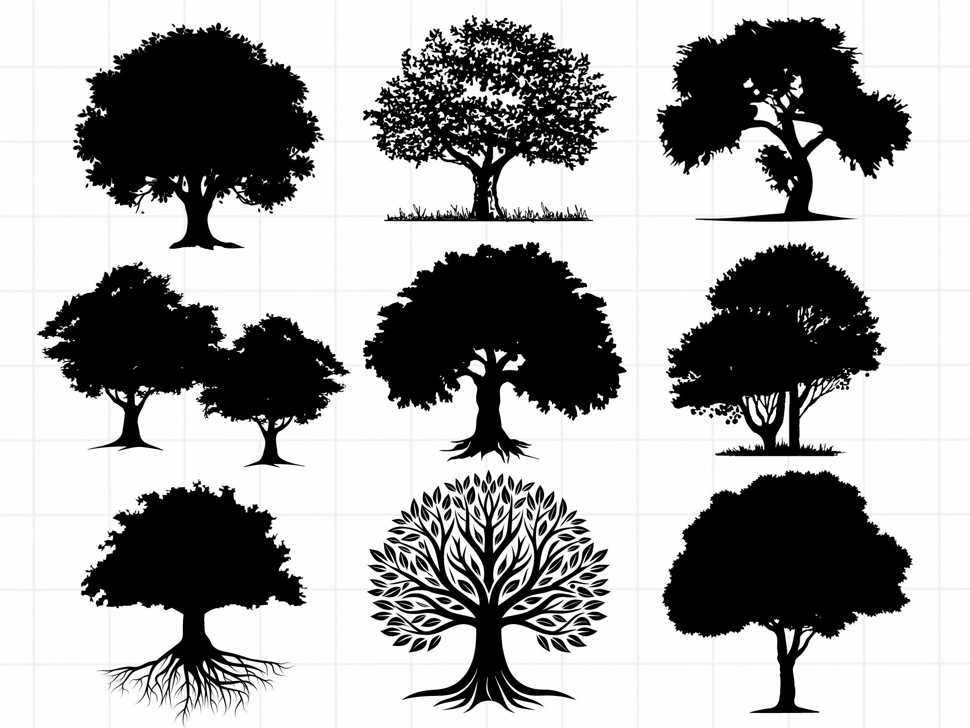 Oak Tree SVG Bundle , Tree Svg, Big Tree Svg, Oak SVG, Outdoor SVG ...