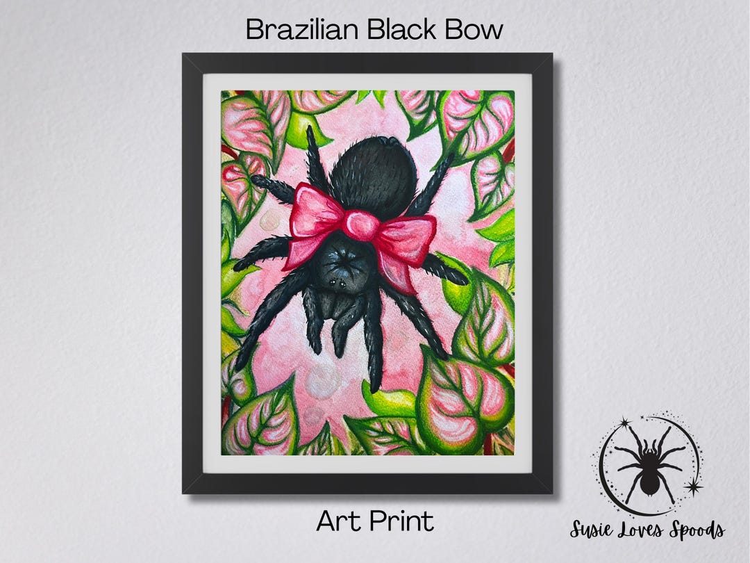 Brazilian Black Tarantula Art Print, Cute Spider With Bow - Etsy