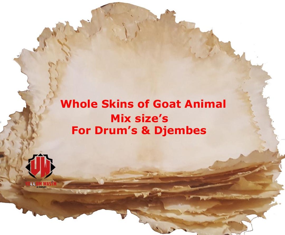 Full Animal Natural Goat Skin Heads for All Kinds of Drums by ...